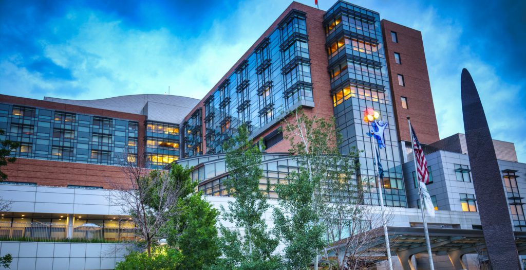 15 Care Settings for You to Explore: From Hospitals to Assisted Living ...